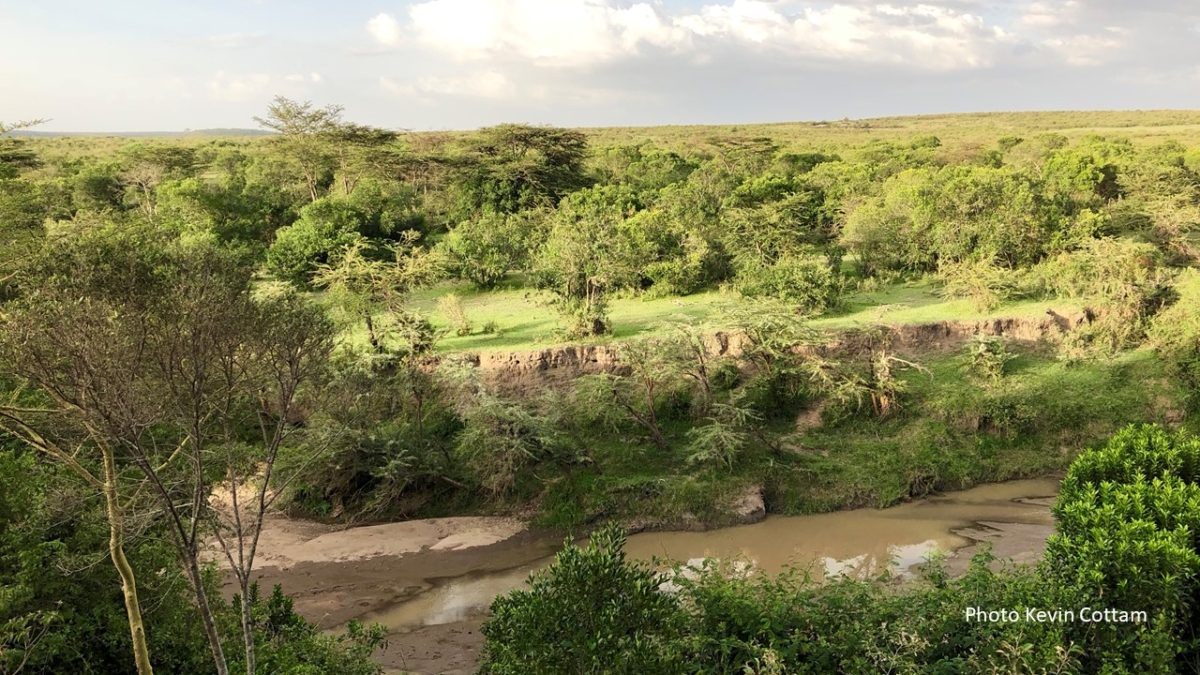 Mindfulness is within The Nomadic Mindset - Go Nomading Pte Ltd