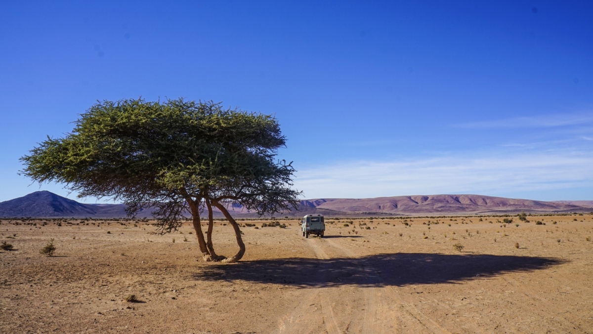 Go Nomading Pte Ltd - Uncover your Nomadic Mindset in Leadership